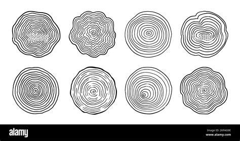 Tree Ring Wood Circle Set Hand Drawn Tree Ring Pattern Line Ripple Circle Wood Texture Wood