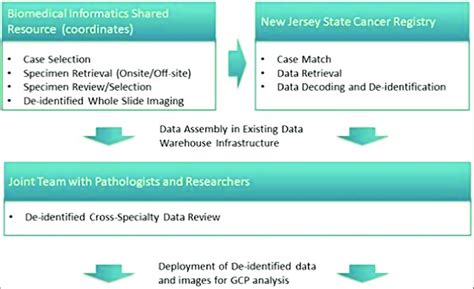 Workflow For Assembling Linked Imagedata Cohorts Download Scientific