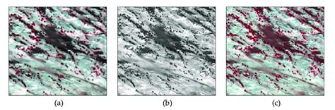 Comparison Of Gf 2 Panchromatic Multispectral And Fused Images Download Scientific Diagram
