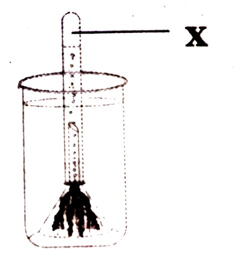 creative questions for new model paper 1 mark questions from vgs brilliant biology telugu