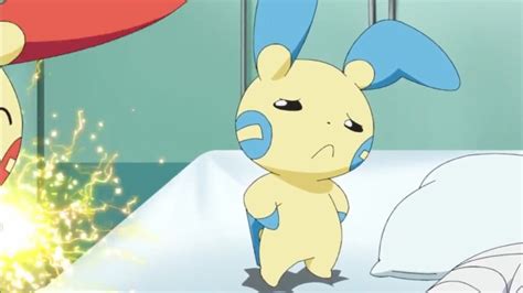 Lover Of All Things Pokémon On Tumblr This Minun Is So Relatable