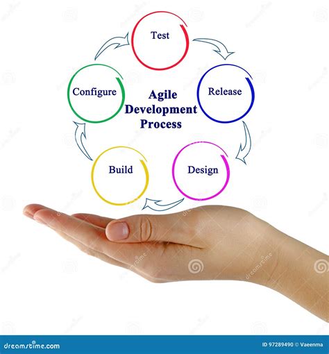 Agile Development Process Stock Photo Image Of Woman