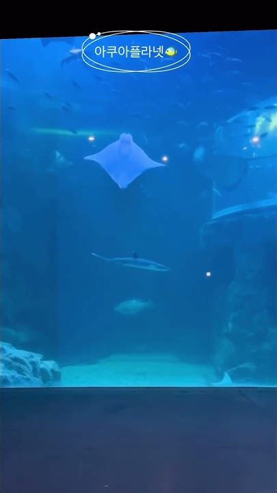 여수여행💙 커플여행첫영상 Youtube