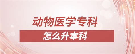 动物医学专科怎么升本科 奥鹏教育