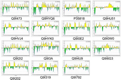 Identification Of B Cell Epitopes Of Antigenic Proteins Uniport Id