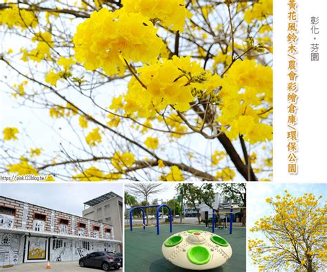 【芬園景點】黃花風鈴木and農會彩繪倉庫and環保公園遊戲場。芬園半日遊新選擇~快來遊玩