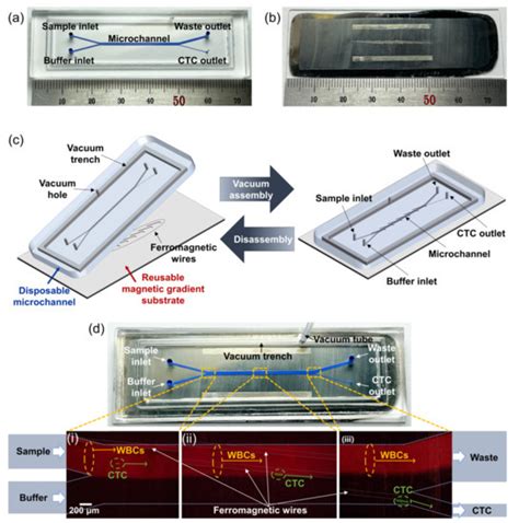 Effective Circulating Tumor Cell Isolation Using Epithelial And Mesenchymal Markers In Prostate