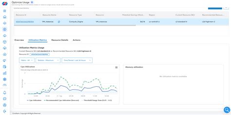 Optimize Usage Rightsizing