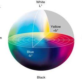 Ab The Color Space Of Cielab System Download Scientific Diagram