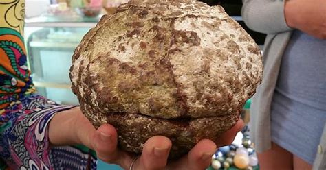 Geode Found In Mexico Album On Imgur