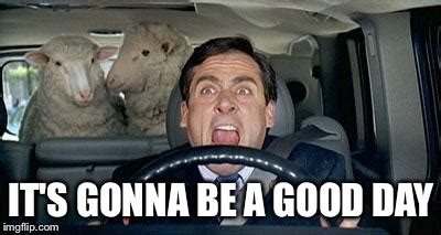 Steve Carrell Sheep Imgflip