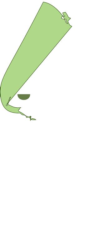 Pseudo Unipolar Neuron Biodraws