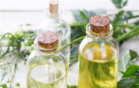 How To Use Coroutines In Python A Beginner Guide By Johni Douglas Marangon Medium