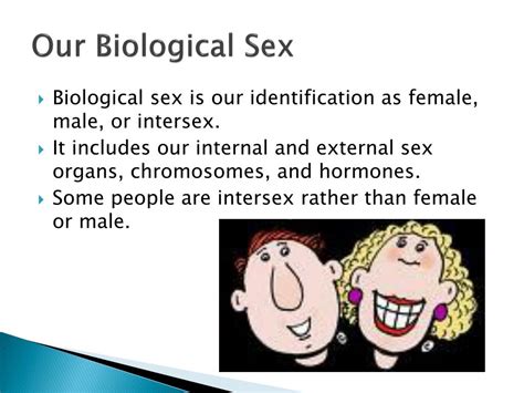 PPT Biological Sex PowerPoint Presentation Free Download ID