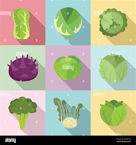 Cabbage Icons Set Flat Set Of Cabbage Vector Icons For Web Design Stock Vector Image And Art Alamy