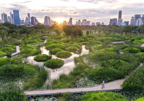 Galeria De Parque Floresta Benjakitti Turenscape Arsomsilp