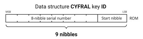 Taming Ibutton Keys With Flipper Zero