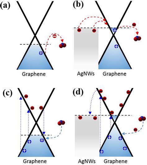 Adsorption Process Of A Graphene And B Gag Nws Sensors Desorption