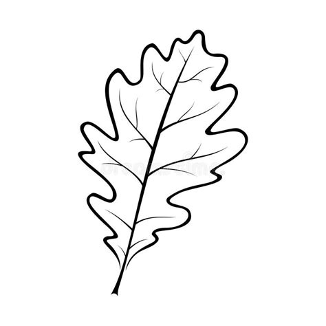 Oak Leaf Outline Printable Clipart Best
