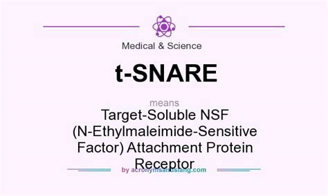 What Does T Snare Mean Definition Of T Snare T Snare Stands For