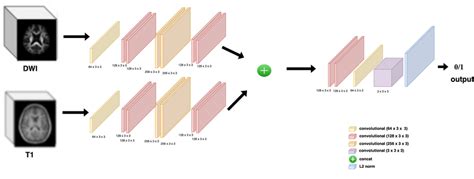3d cnn architecture used for training on data from a single modality