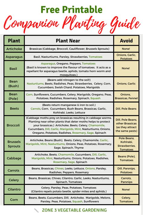 Free Printable Companion Planting Guide Companion Planting Guide