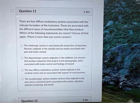 Question 11 Pts There Are Four Diffuse Modulatory Systems Associated With The Reticular