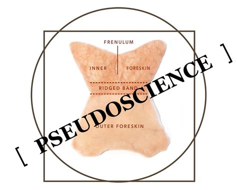 The Timeless Myth Of Glans “ Keratinization ” By Circumscience Medium