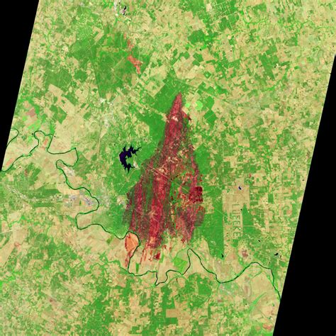 Bastrop County Complex Fire Burn Scar