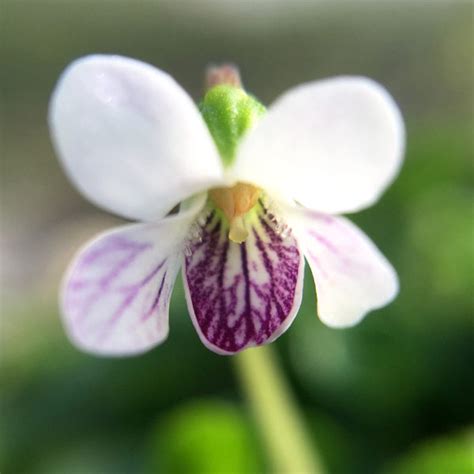 X ~ F N V } R P X ~ 2 5 B G