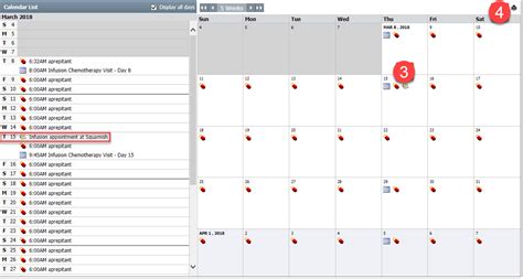 Customize And Print The Patient Chemo Calendar