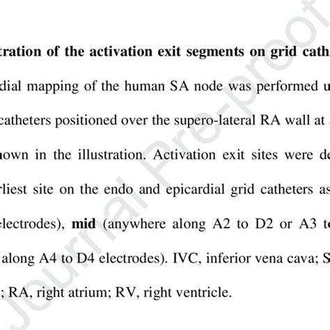 Simultaneous Endocardial Epicardial Mapping Of Human Sinus Node