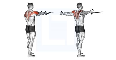 Resistance Band Pull Apart Guide Benefits And Form