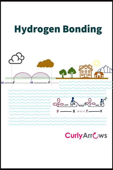 Hydrogen Bonding