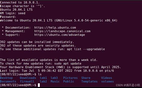 seed labs firewall exploration lab csdn博客