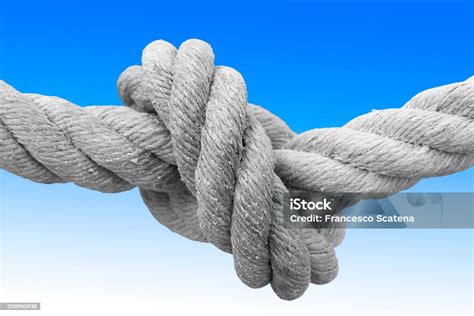 단일 매듭강한 로프 파란색과 흰색 배경에 대한 개념 이미지 노타이에 대한 스톡 사진 및 기타 이미지 노타이 매듭 묶기