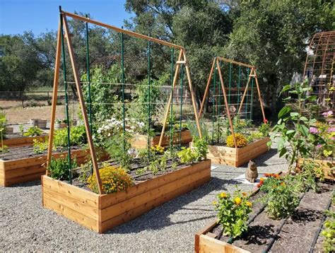 Tired Of Floppy Tomatoes Heres How To Stake Cage And Trellis Like A Pro