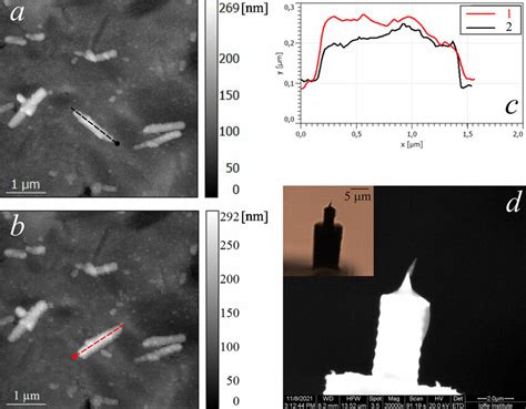 Inelastic Deformation Of Hydrosilicate Particles During Afm Download Scientific Diagram
