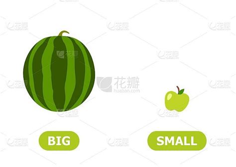 一个大西瓜和一个小苹果的反义词图解。