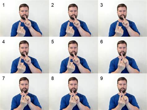 Meet Asl Dictionary