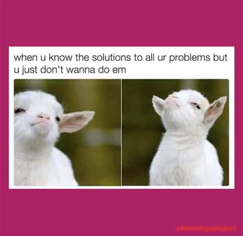 Self Reflection Memes Self Reflection Nursemurderer