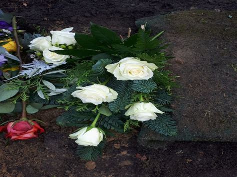 Bilder Von Frank Heilmann