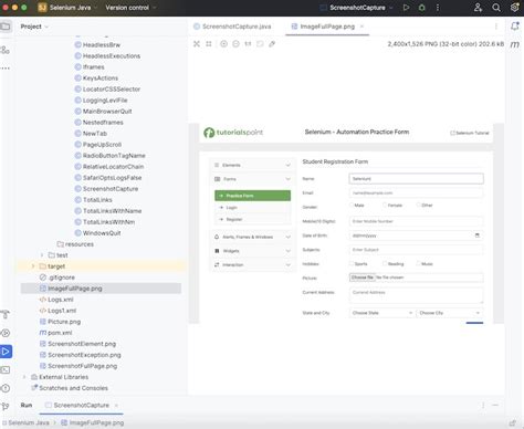 Selenium Webdriver Capture Screenshots