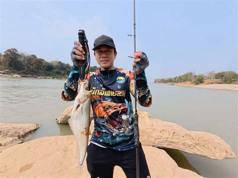 ຕີນ້ອຍ ຂາຍອຸປະກອນເຄື່ອງຕຶກປາ ຕີນ້ອຍ ຂາຍອຸປະກອນເຄື່ອງຕຶກປາ