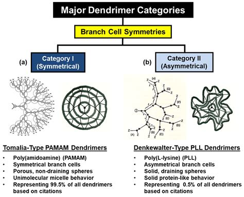 Dendrimers Dendrons And The Dendritic State Reflection On The Last Decade With Expected New