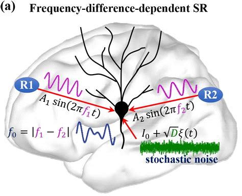 Approximating The 1d Wave Equation Using Physics Informed Neural Networks Pinns