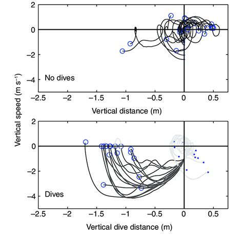 Classification Of Mantis Responses Into ʻdiveʼ Or ʻno Diveʼ Based On