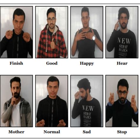 Arabic Sign Language Dataset Kaggle