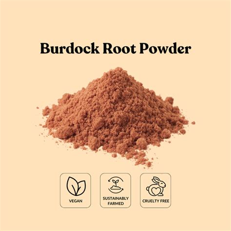Burdock Root Powder Total Ingredients