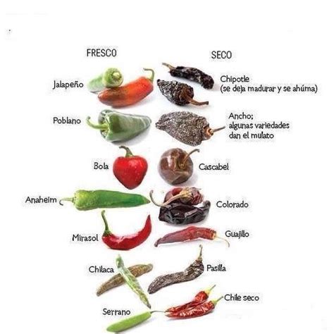 Tipos De Chiles Verdes Chiles Anaheim Cultivo Cuidados Y Cosecha